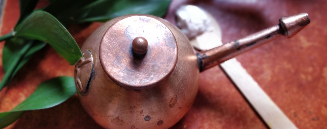 Jala Neti - LifeRoots